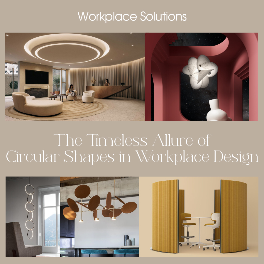 COLOURLIVING | Workplace Solutions | The timeless allure of circular ...